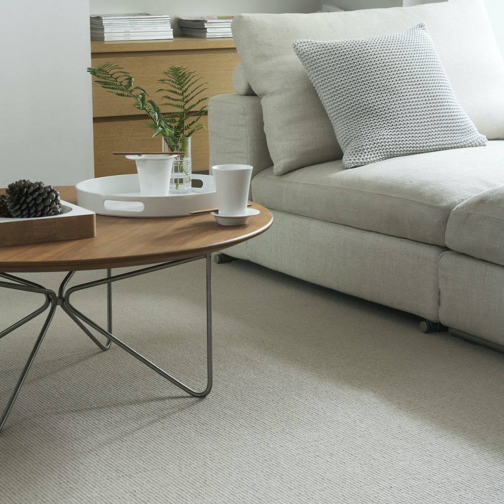 Carpet At The Carpet Company